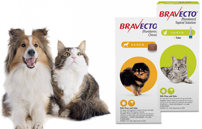 Fleas & Ticks | Venice Animal Clinic