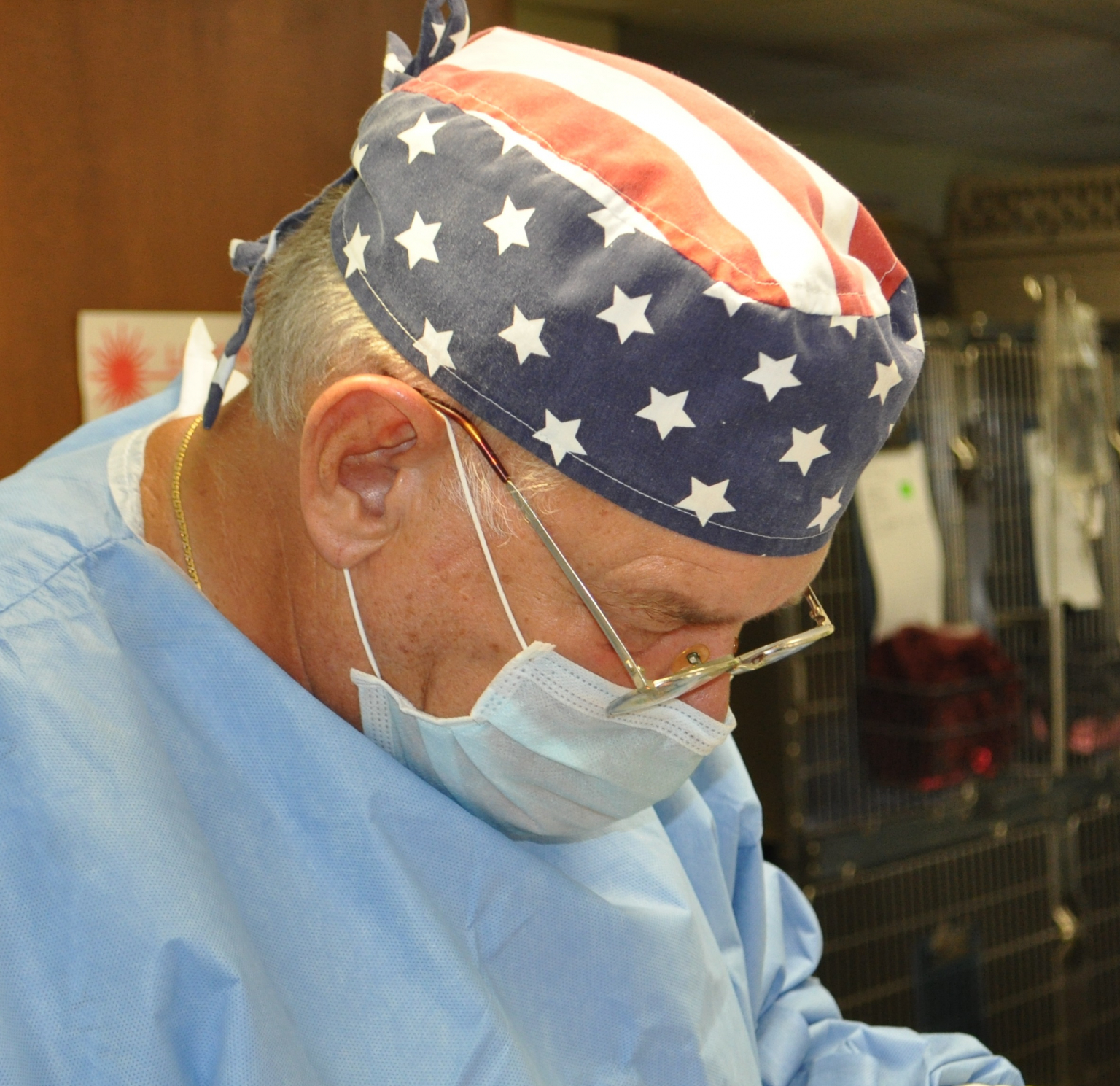 About Us | Venice Animal Clinic